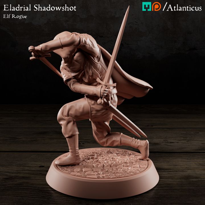 3D Printable Male Elf Rogue - Eladrial Shadowshot - Shortswords by Atlanticus Arts